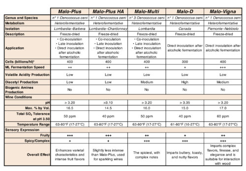 Malolactic Fermentation: Best Practices and Troubleshooting Tips – ATPGroup