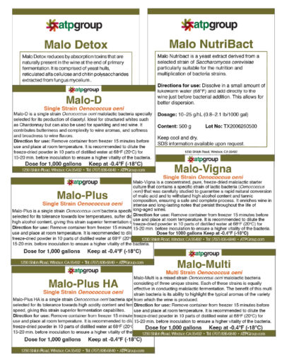 Malolactic Fermentation: Best Practices and Troubleshooting Tips – ATPGroup