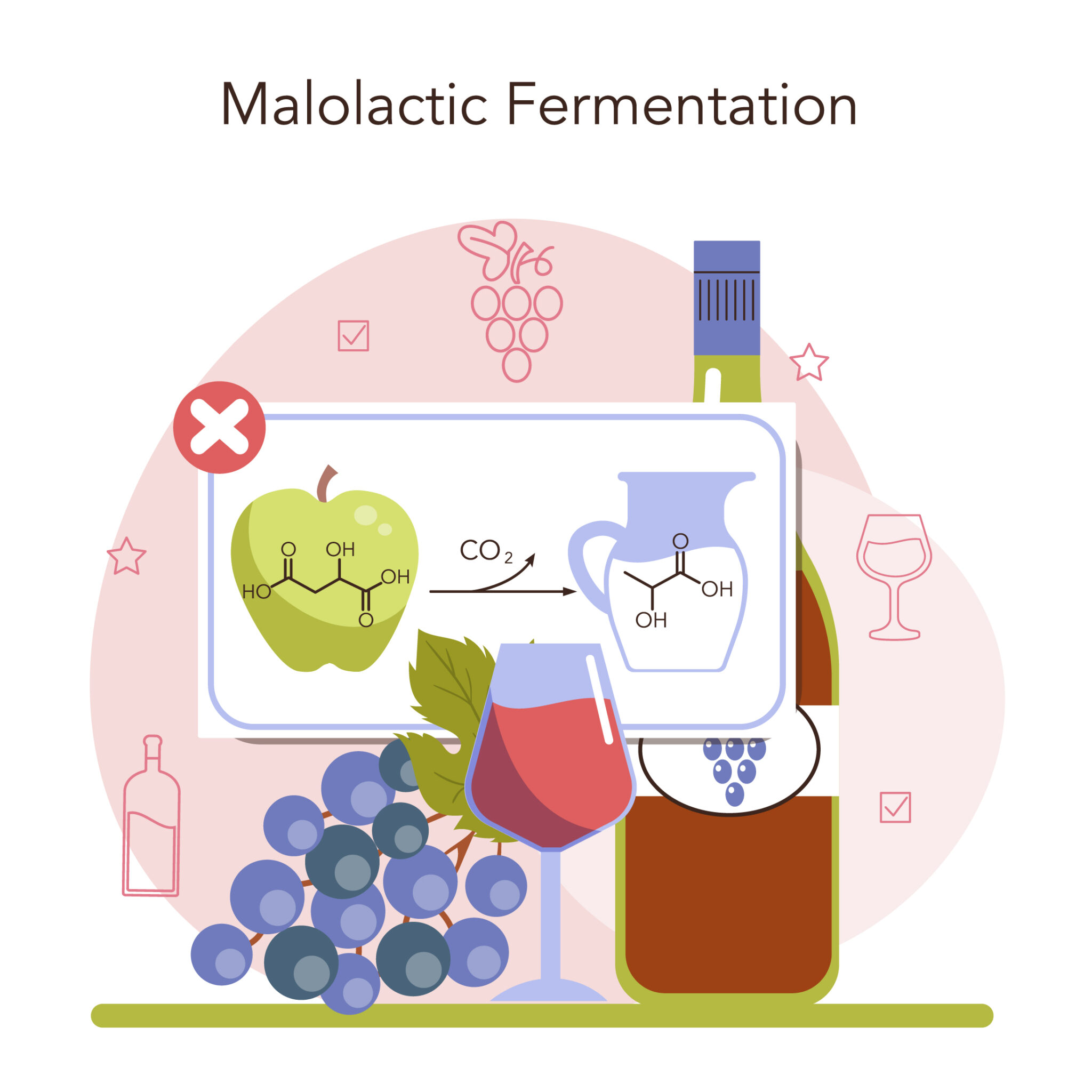 Malolactic Fermentation: Best Practices and Troubleshooting Tips – ATPGroup